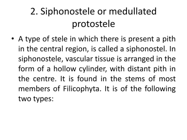 Types of stele and stelar evolution | PDF | Biological Sciences | Science