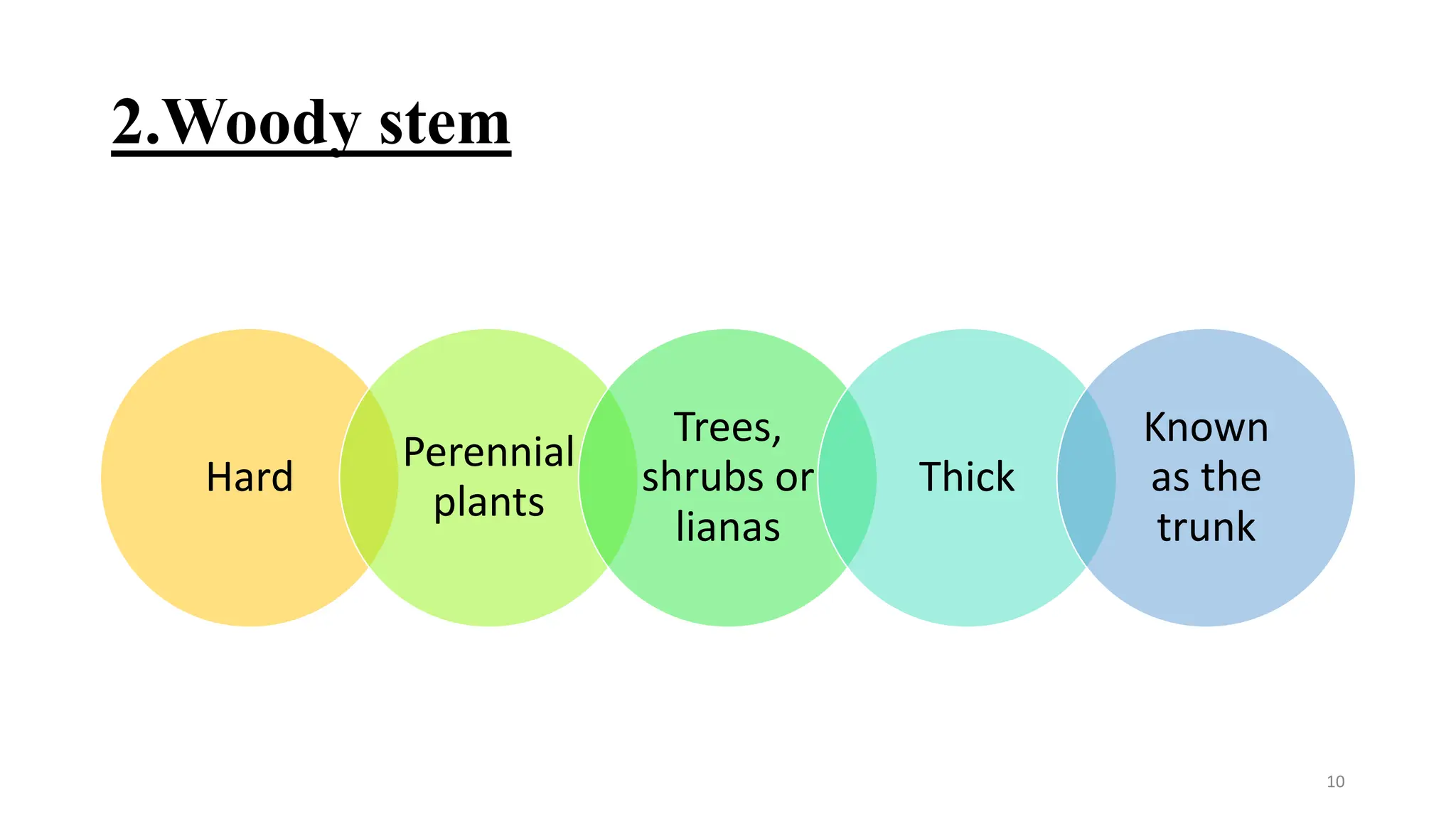 Types of stem by Sarah Ashfaq , Botanist | PPTX