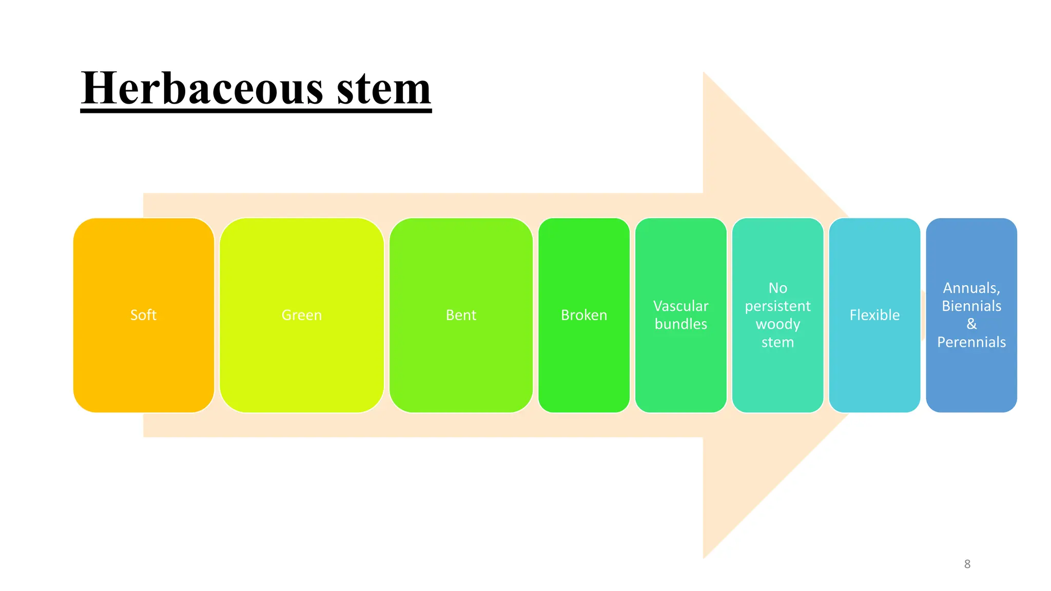 Types of stem by Sarah Ashfaq , Botanist | PPTX
