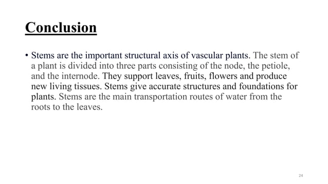 Types of stem by Sarah Ashfaq , Botanist | PPTX