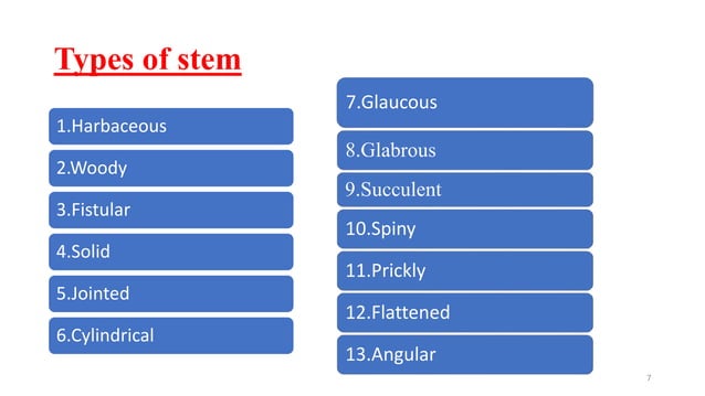 Types of stem by Sarah Ashfaq , Botanist | PPTX