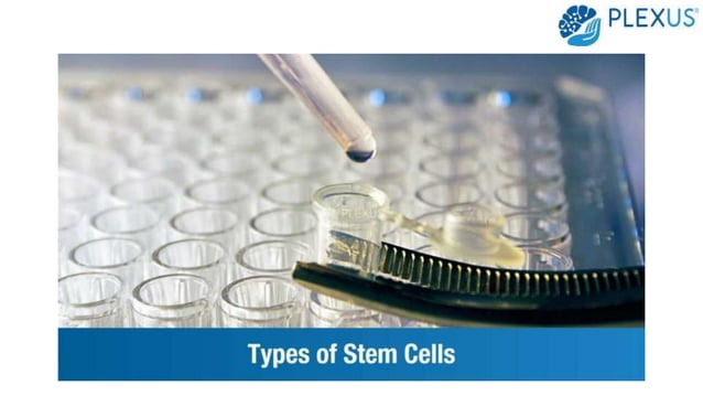 Types Of Stem Cells.pptx