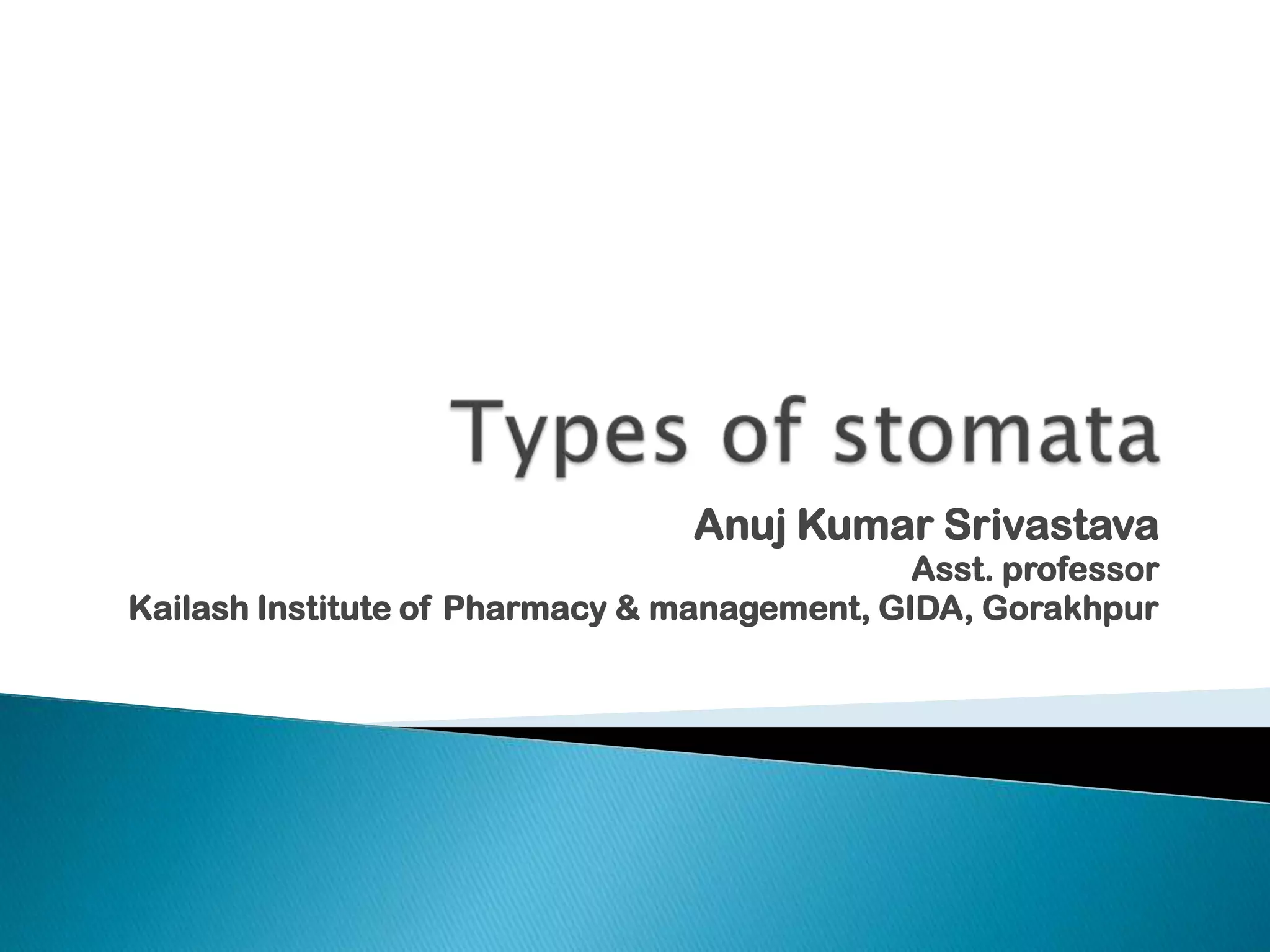 Types of stomata | PPTX