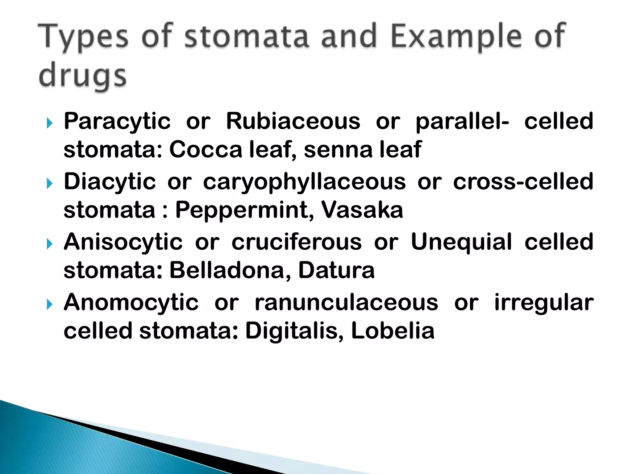 Types of stomata | PPTX