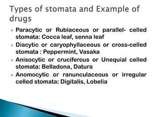 Types of stomata | PPTX