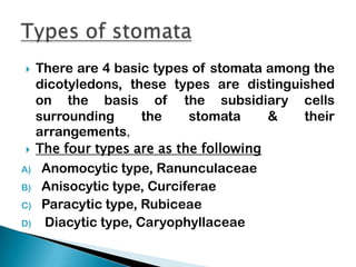Types of stomata | PPT