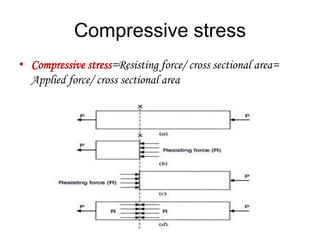 Types of stresses | PPTX