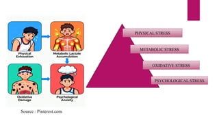 TYPES OF STRESS IN ATHELETES.PPT BY CH.NIKITHA | PPTX
