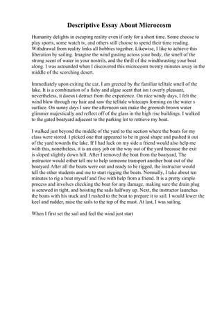 Types Of Students Essay.pdf