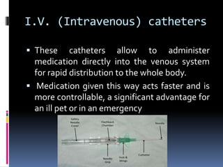 Types Of Syringes And Needles Pptx