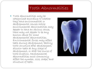 Types of teeth | PPTX | Oral care | Personal Care