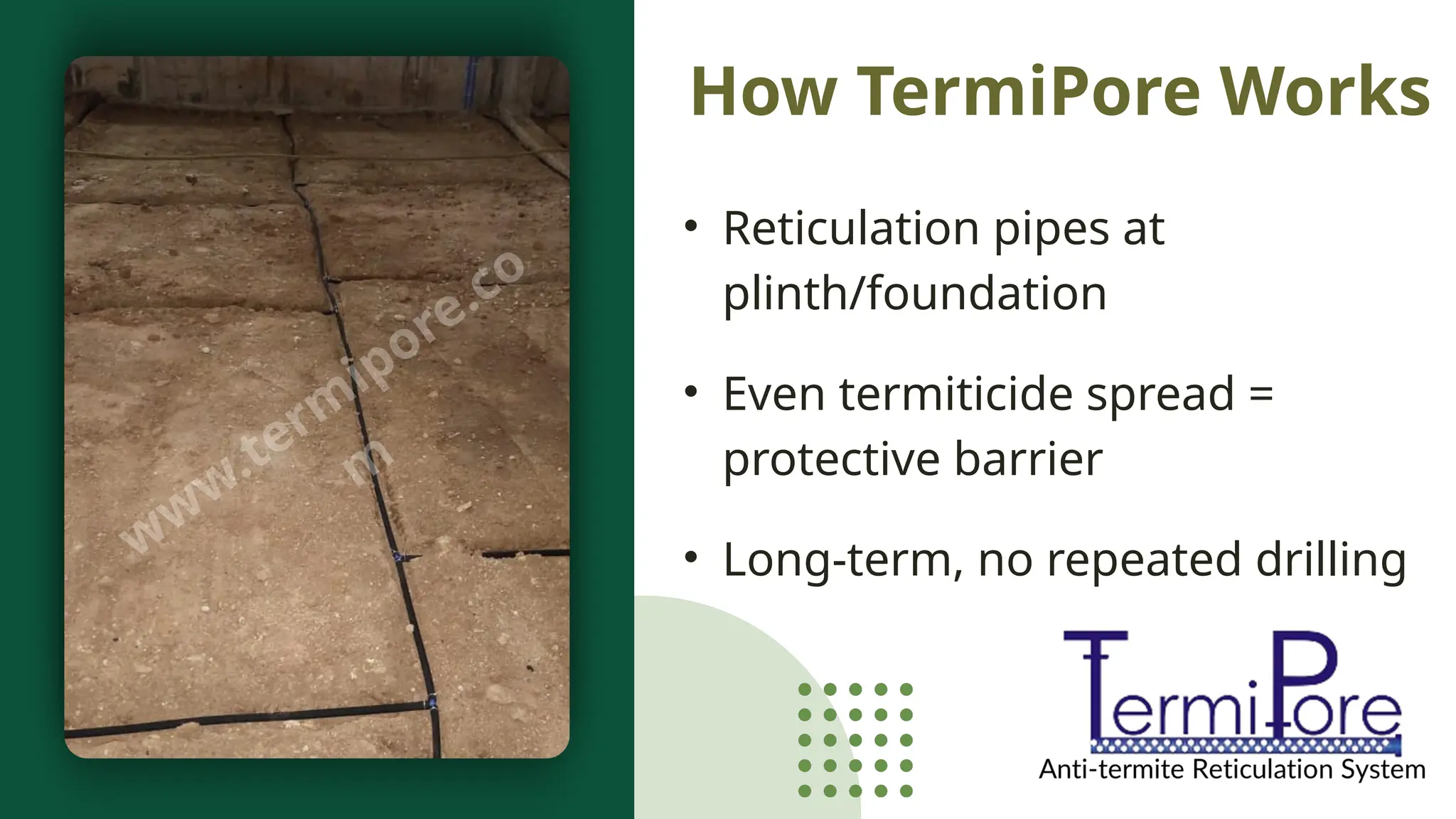 Types of Termites & How They Affect Buildings (3).pptx