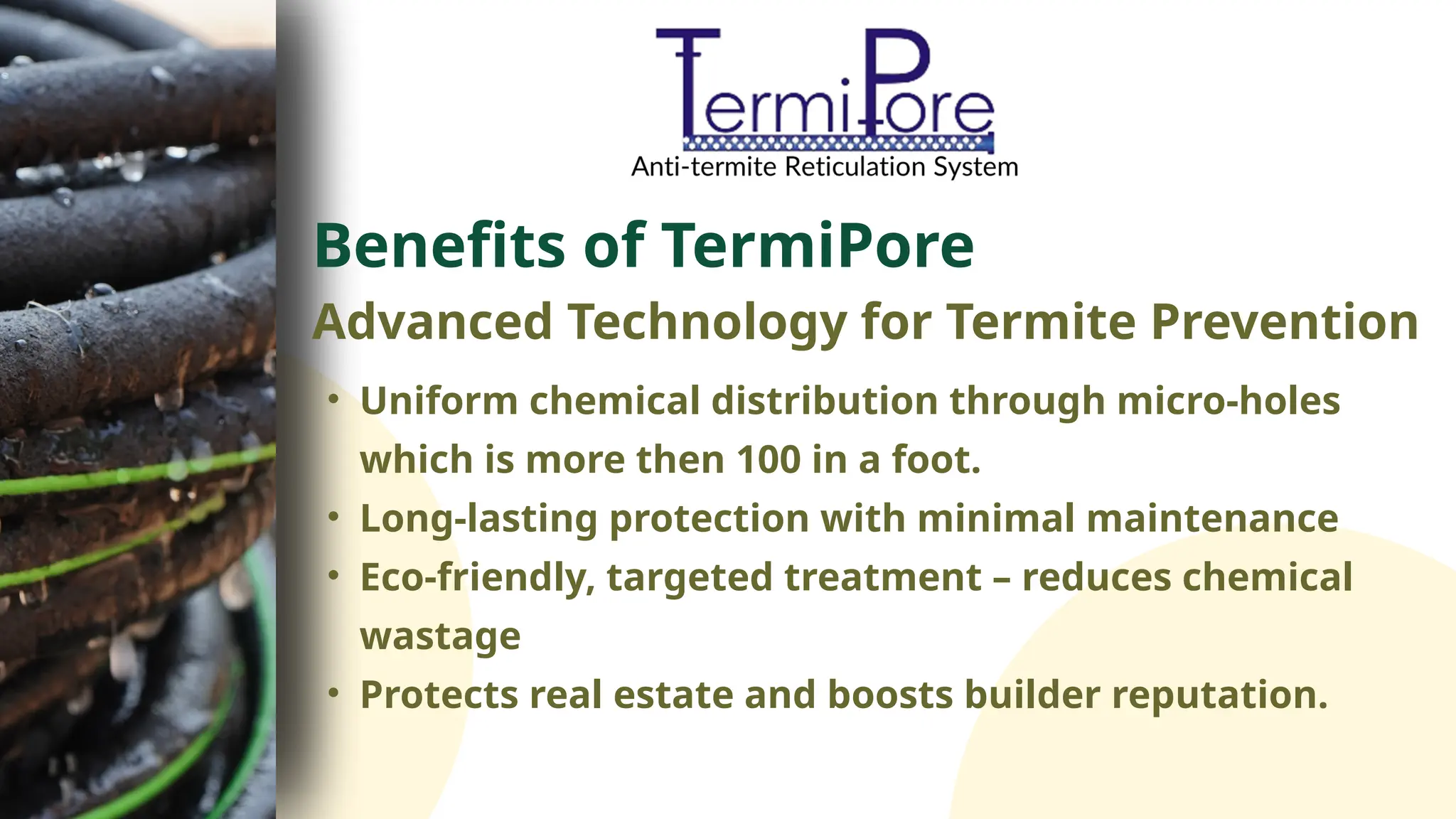 Types of Termites & How They Affect Buildings (3).pptx