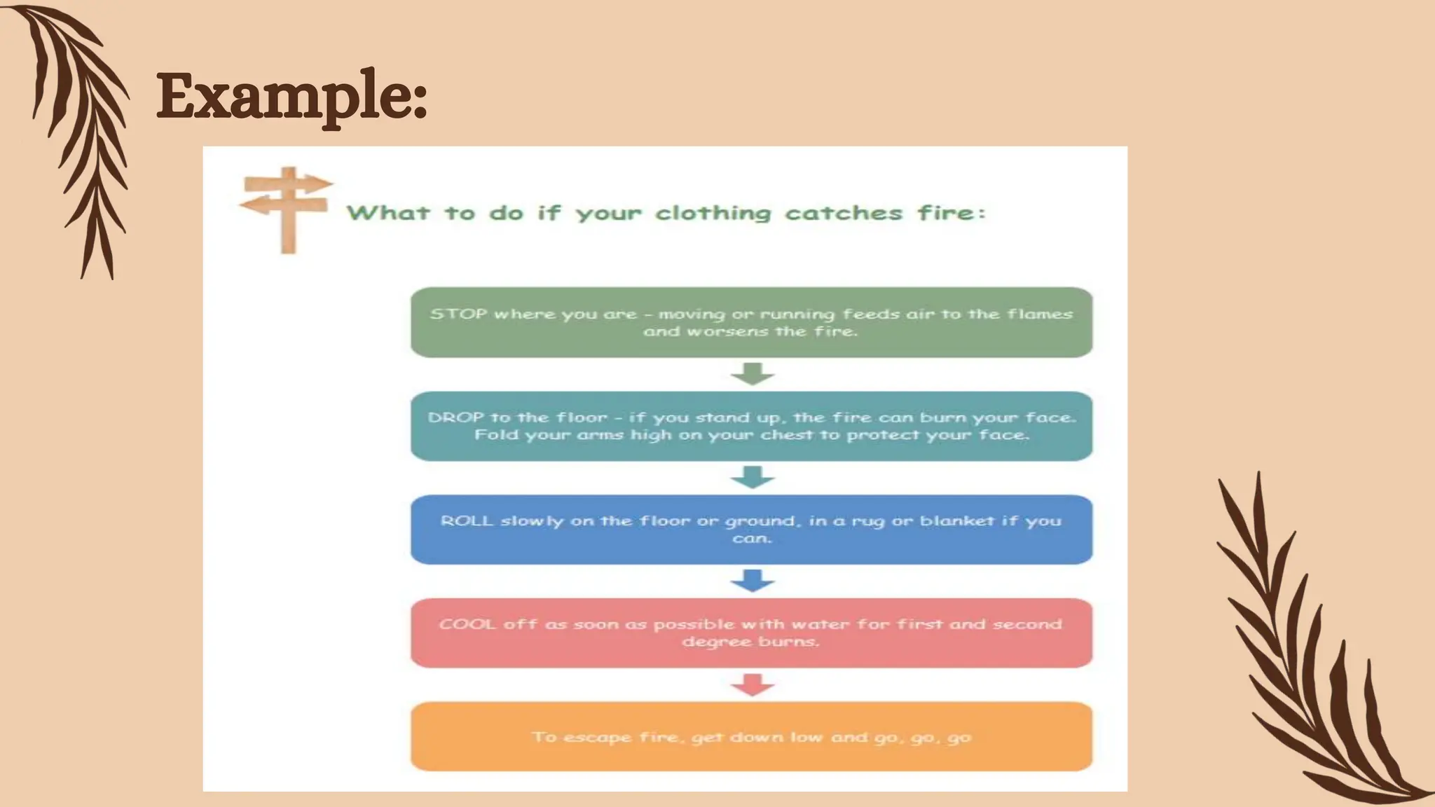 common types of text structures in eapp.pptx