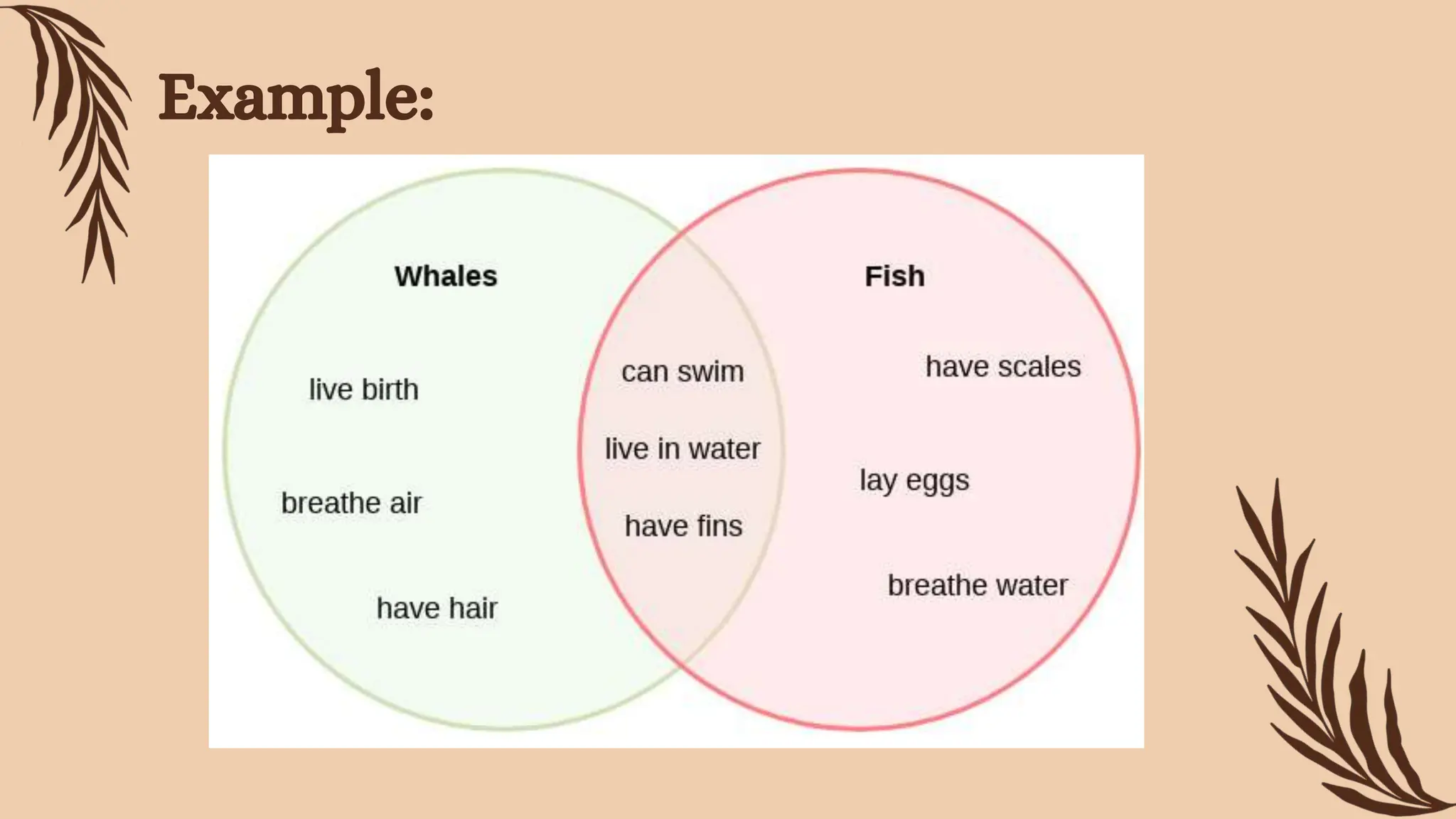 common types of text structures in eapp.pptx