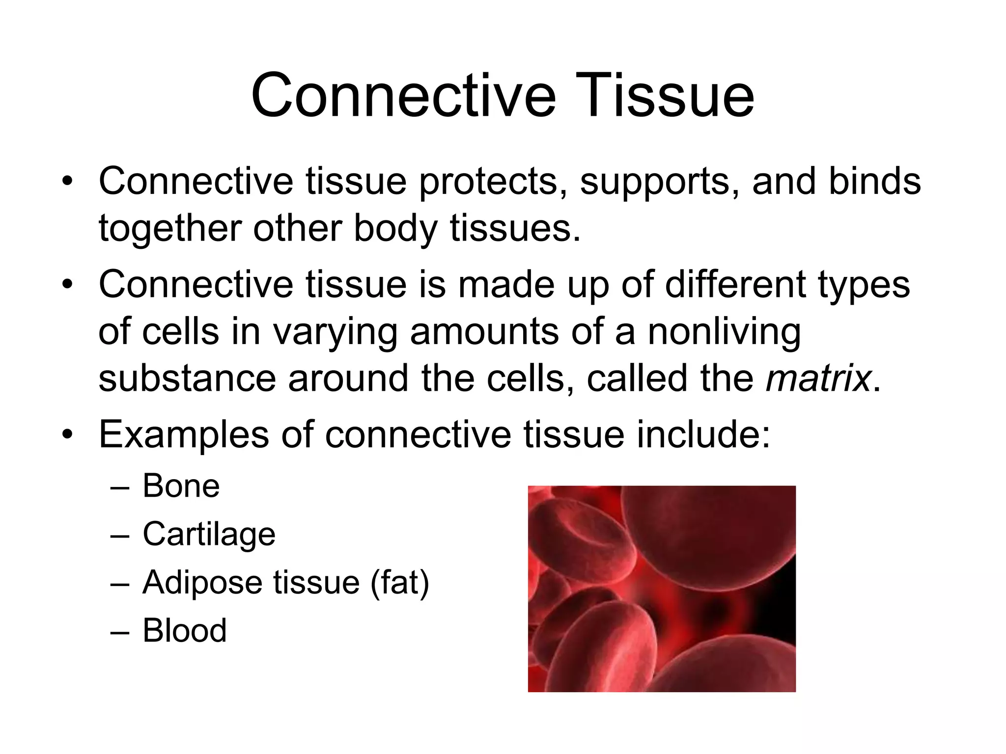 Types of tissue in the body | PPTX