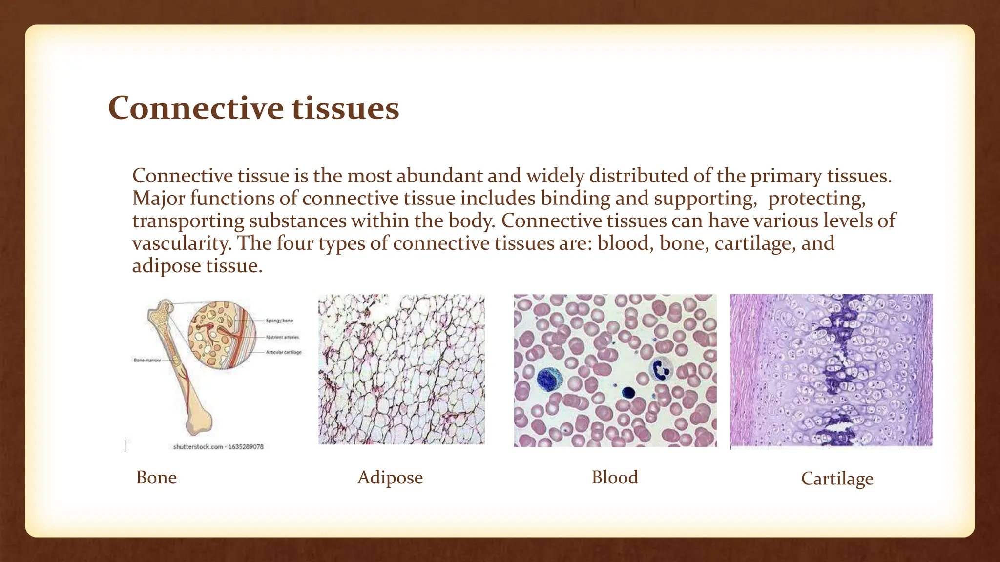 Types of tissues and their types (with diagrams) | PPTX
