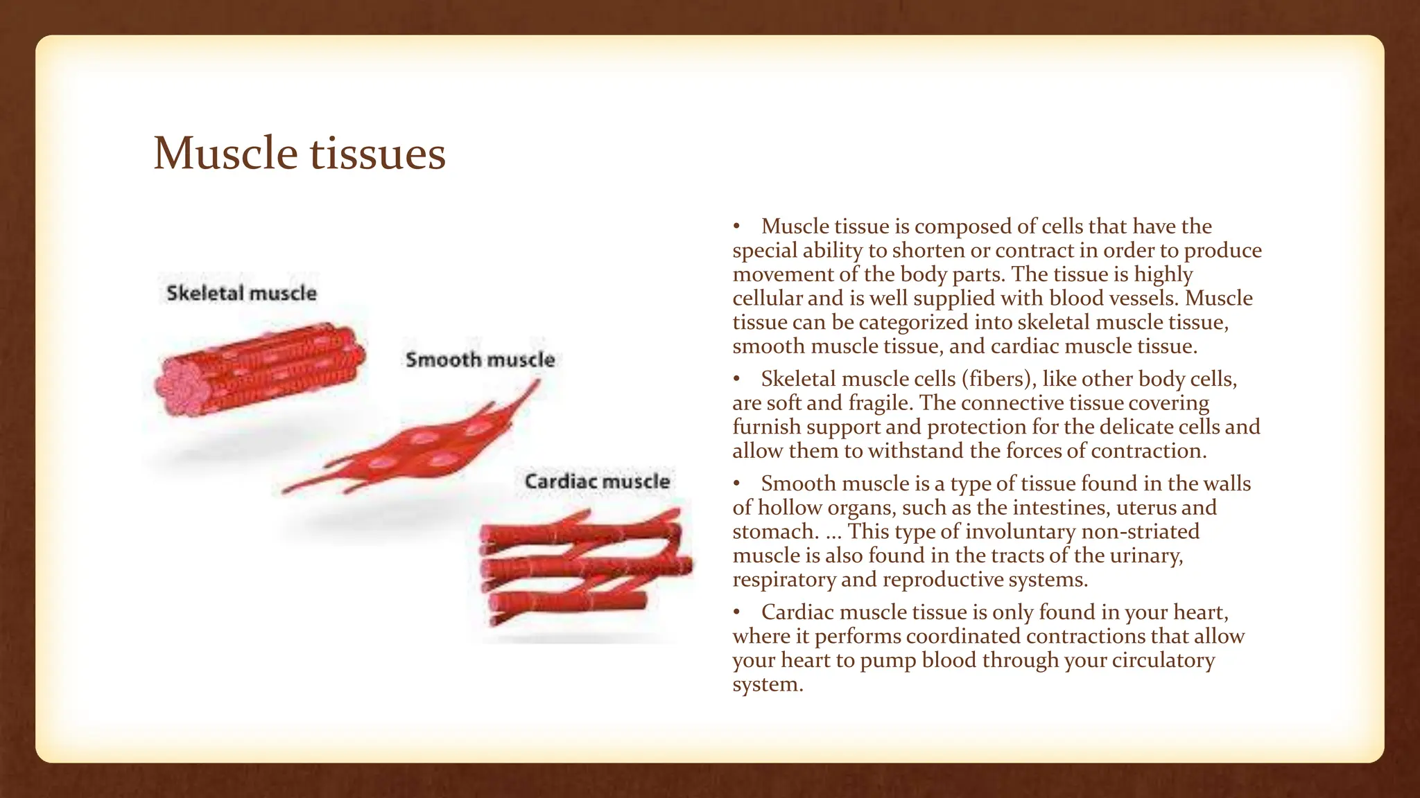 Types of tissues and their types (with diagrams) | PPTX