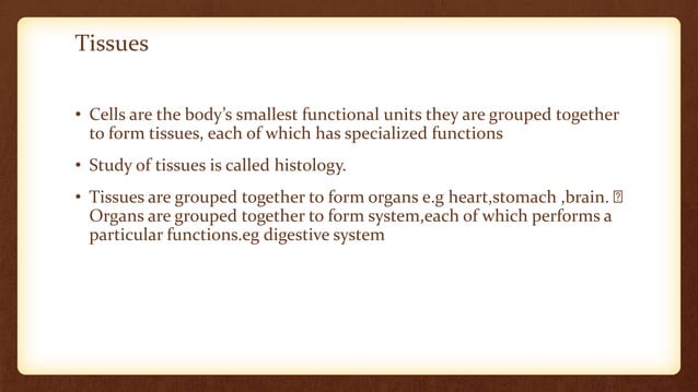 Types of tissues and their types (with diagrams) | PPTX