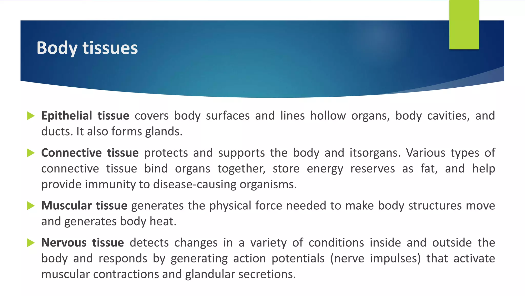 Types of tissues | PPT
