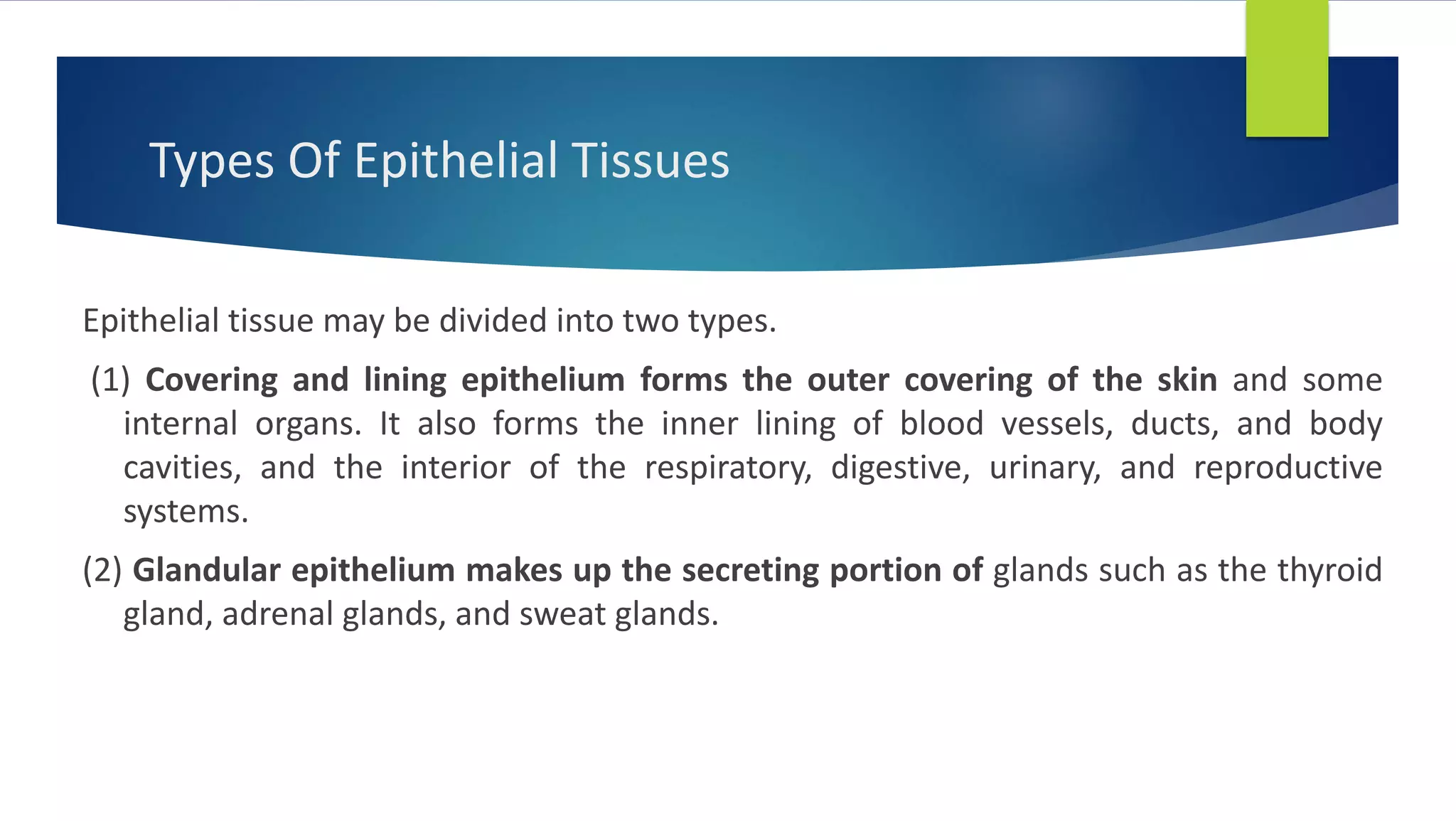 Types of tissues | PPT