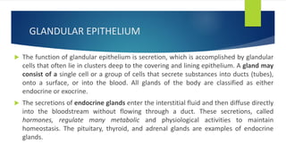 Types of tissues | PPT