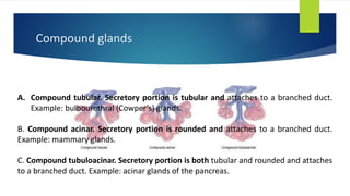 Types of tissues | PPT