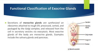 Types of tissues | PPT