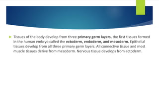 Types of tissues | PPT