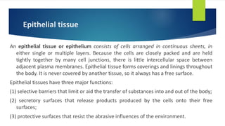 Types of tissues | PDF