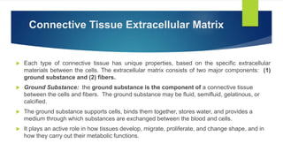 Types of tissues: part 2 | PPT