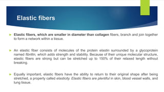 Types of tissues: part 2 | PPTX