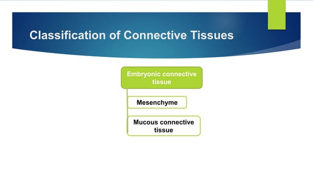 Types of tissues: part 2 | PPT