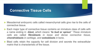 Types of tissues: part 2 | PPTX