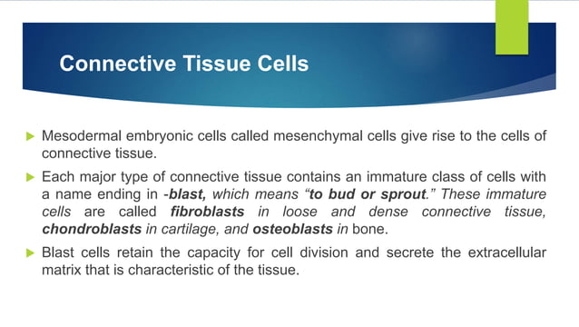 Types of tissues: part 2 | PPT
