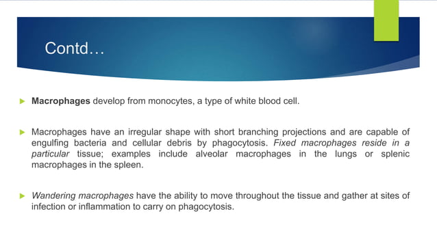 Types of tissues: part 2 | PPT