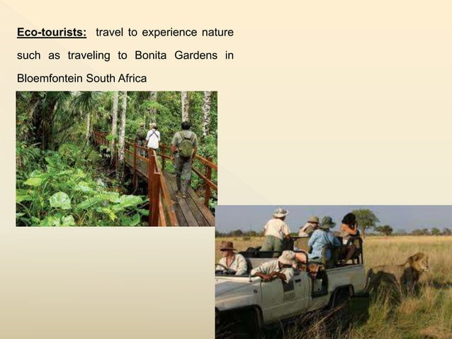 Types of tourists | PPTX