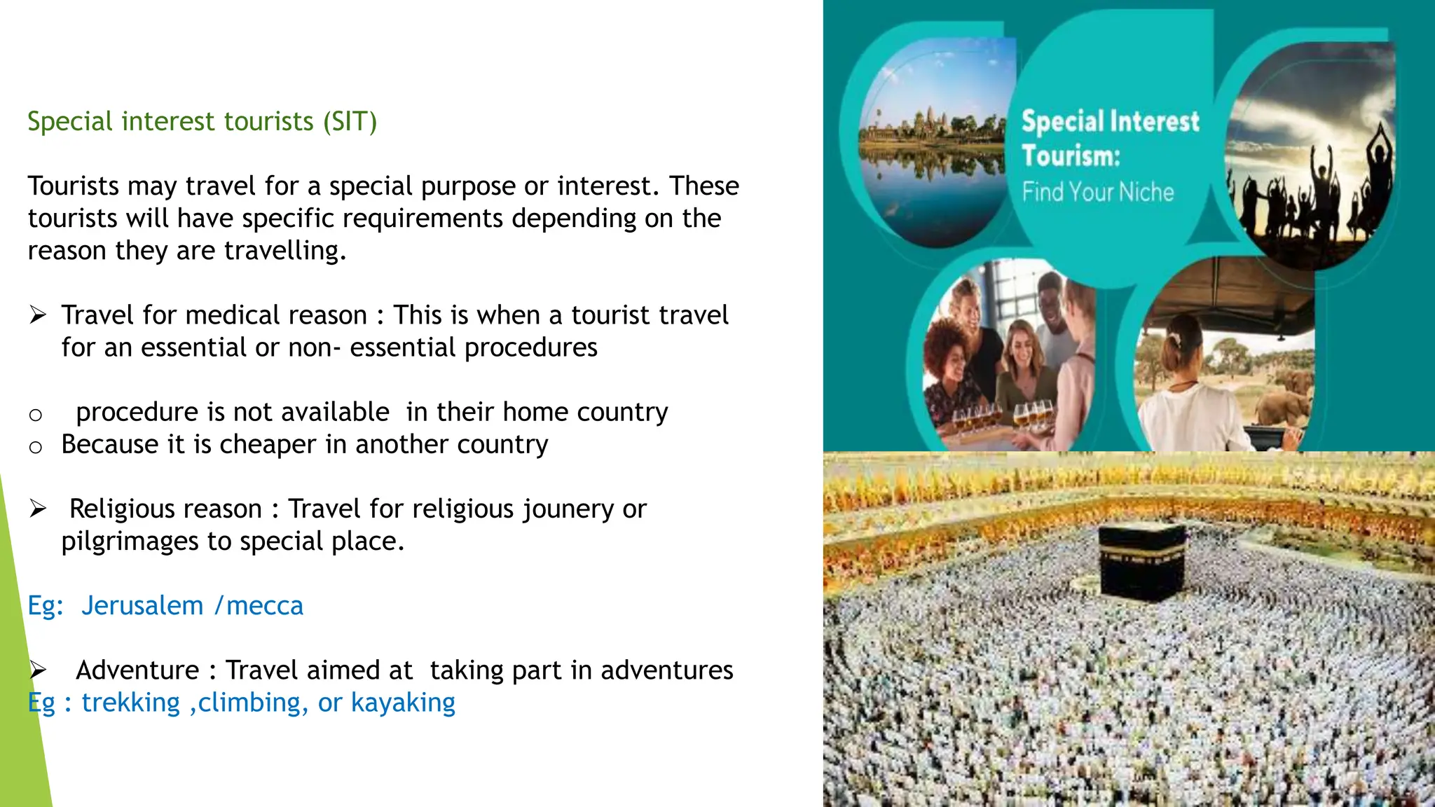 Types of tourists - CAMBRIDGE UNIVERSITY | PPTX | Family Travel ...