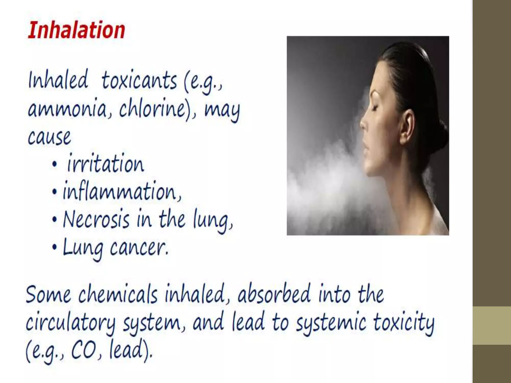 Types of Toxicants - exposure class | PPTX