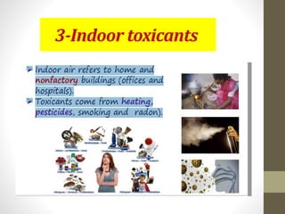 Types of Toxicants - exposure class | PPTX