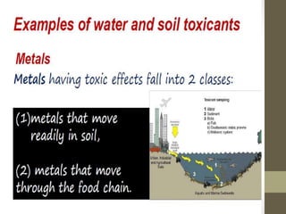 Types of Toxicants - exposure class | PPTX