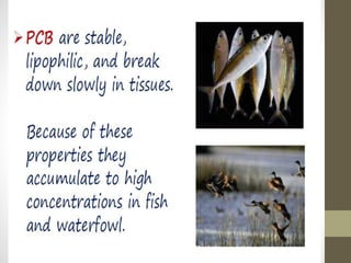 Types of Toxicants - exposure class | PPTX