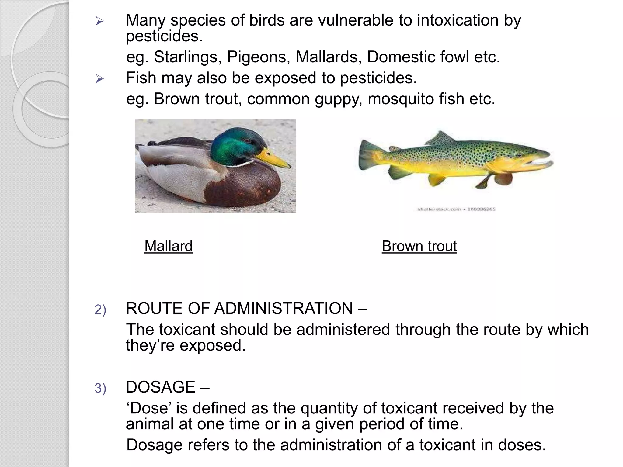 Types of toxicity | PPTX
