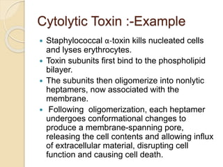 Types of toxins | PPTX | Infectious Diseases | Diseases and Conditions