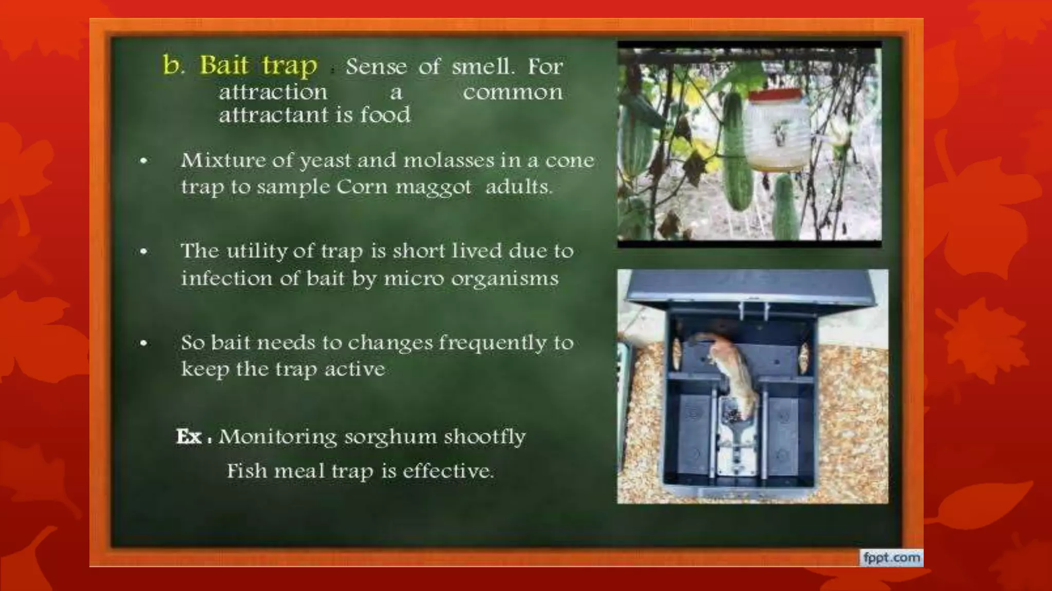 Types of trap | PPTX