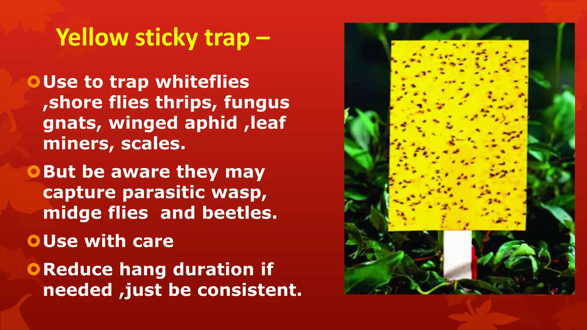 Types of trap | PPTX