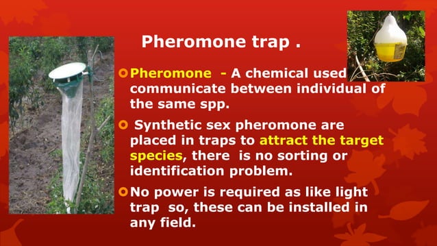 Types of trap | PPTX