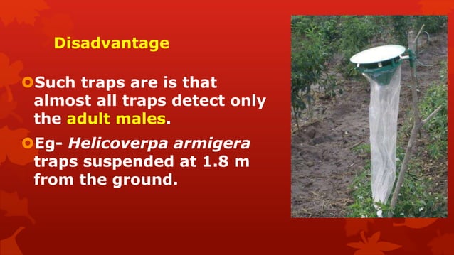 Types of trap | PPTX