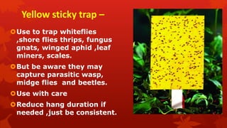 Types of trap | PPTX