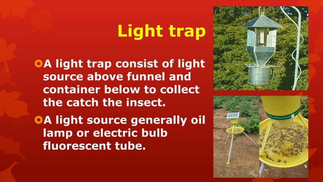 Types of trap | PPTX